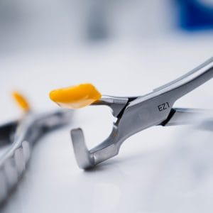 Physics® Forceps - Directa Dental
