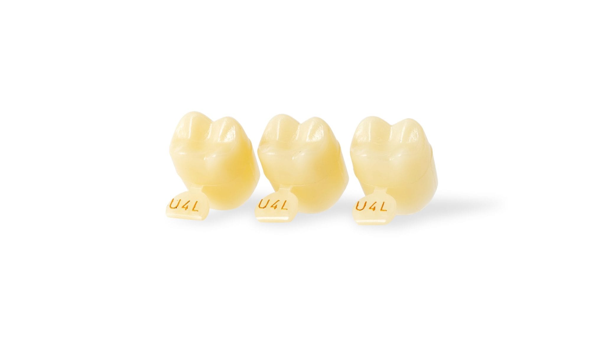 Directa® Temporary Crown Molar Translucent - Directa Dental